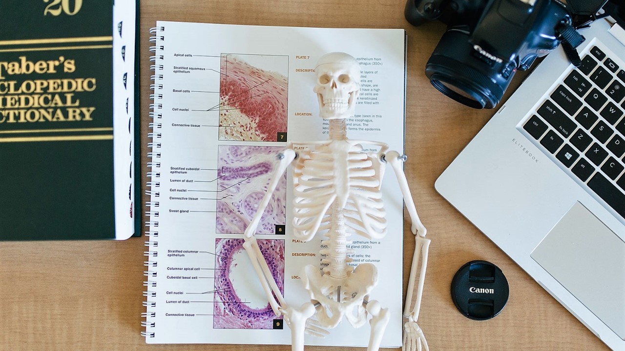 It’s Okay to Change Your Major - Admissions