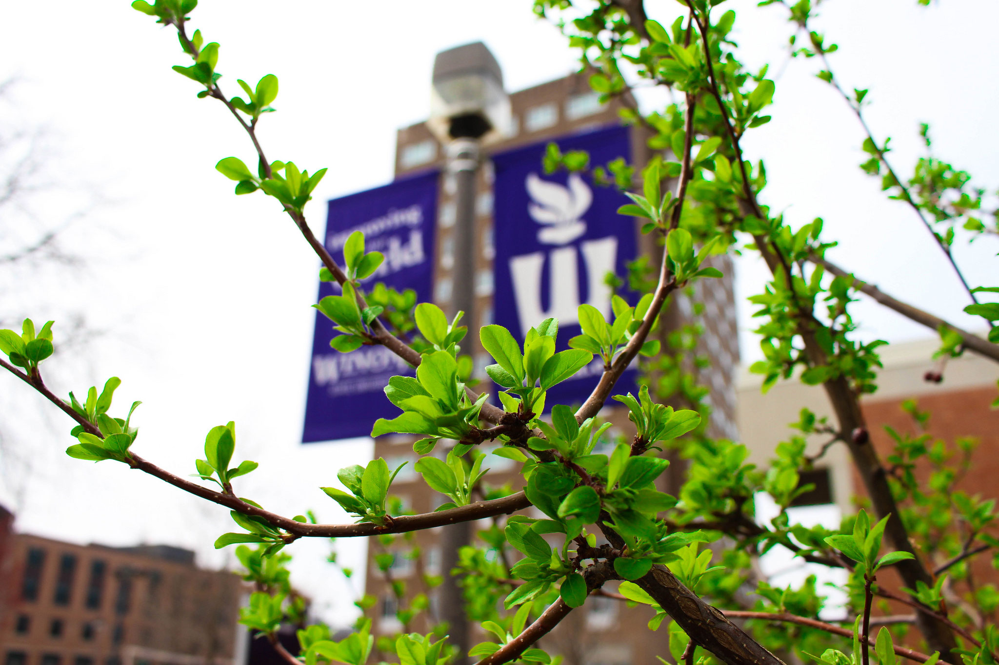 My Campus Bucket List - Winona State Blogs