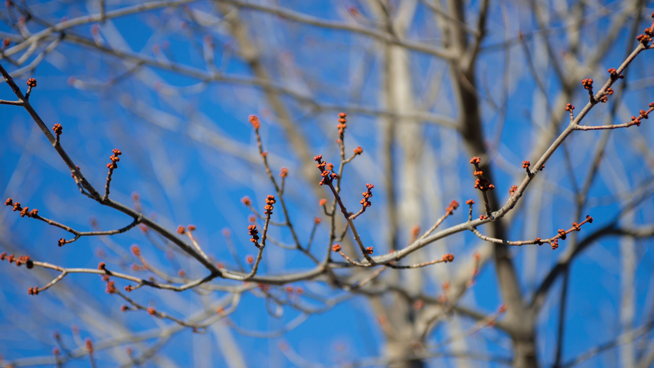 How to Survive “Swinter” Warrior-Style - Winona State Blogs